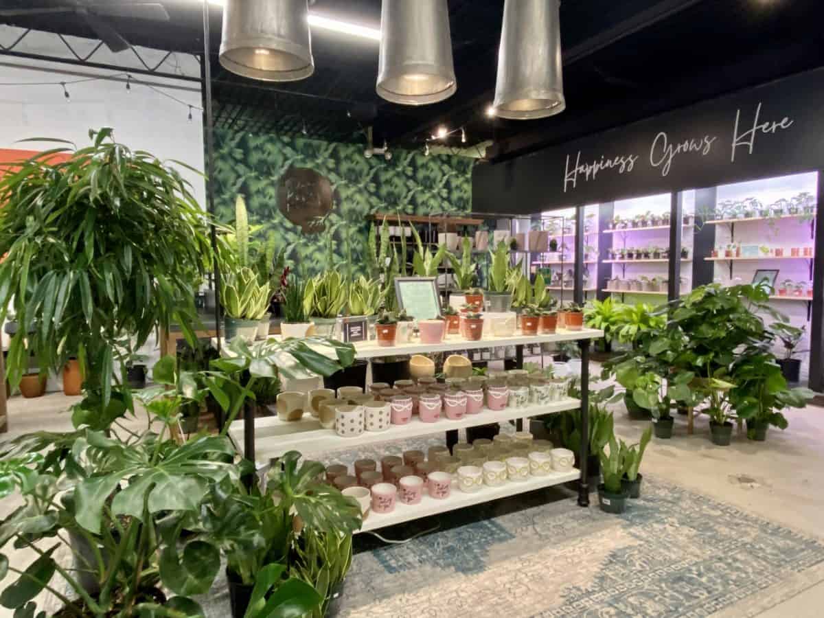 2021 Highlights: A Look Back On This Past Year - Eastern Floral ...