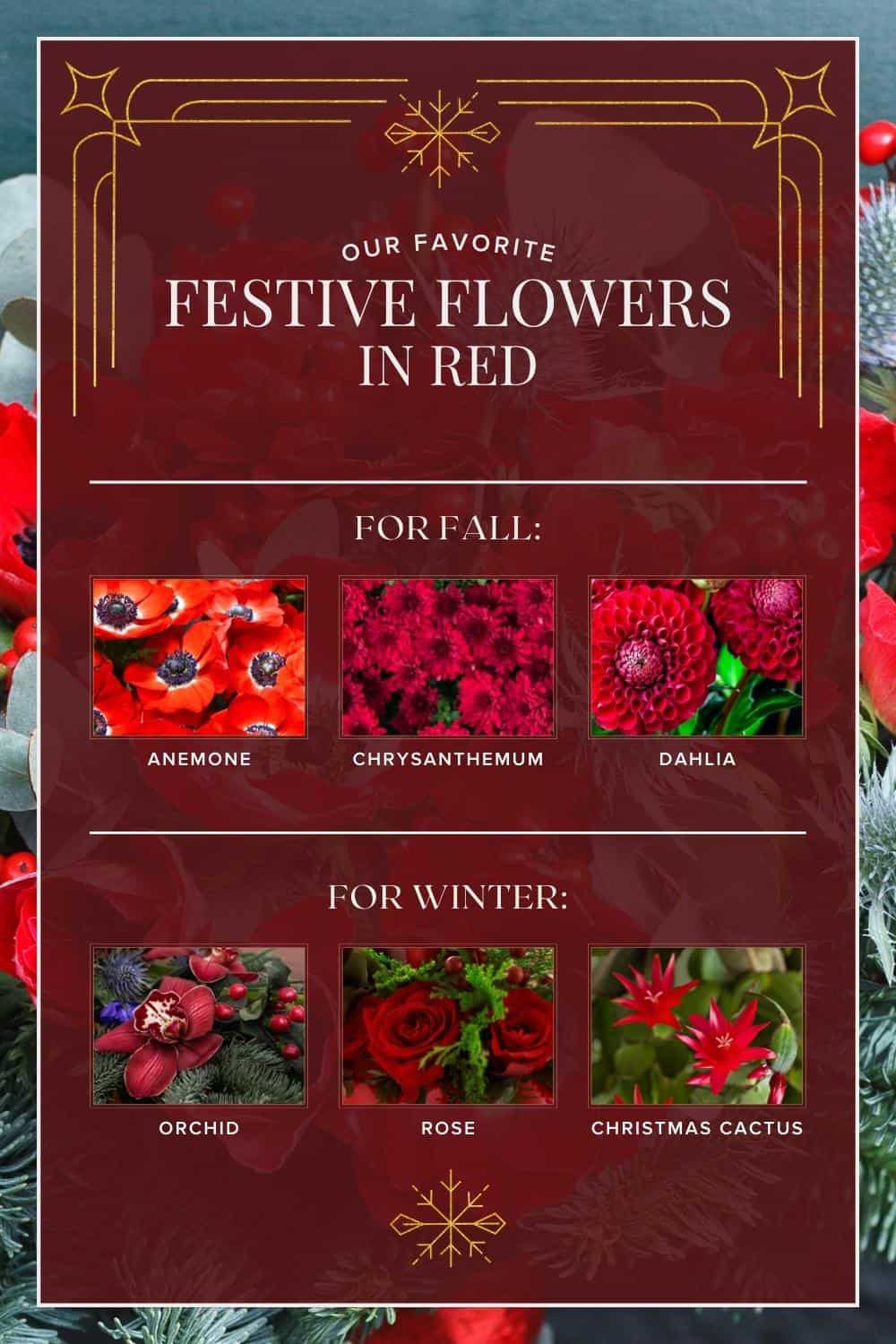 Seasonal Red Beauties for Fall and Winter Floral Arrangements - Eastern ...